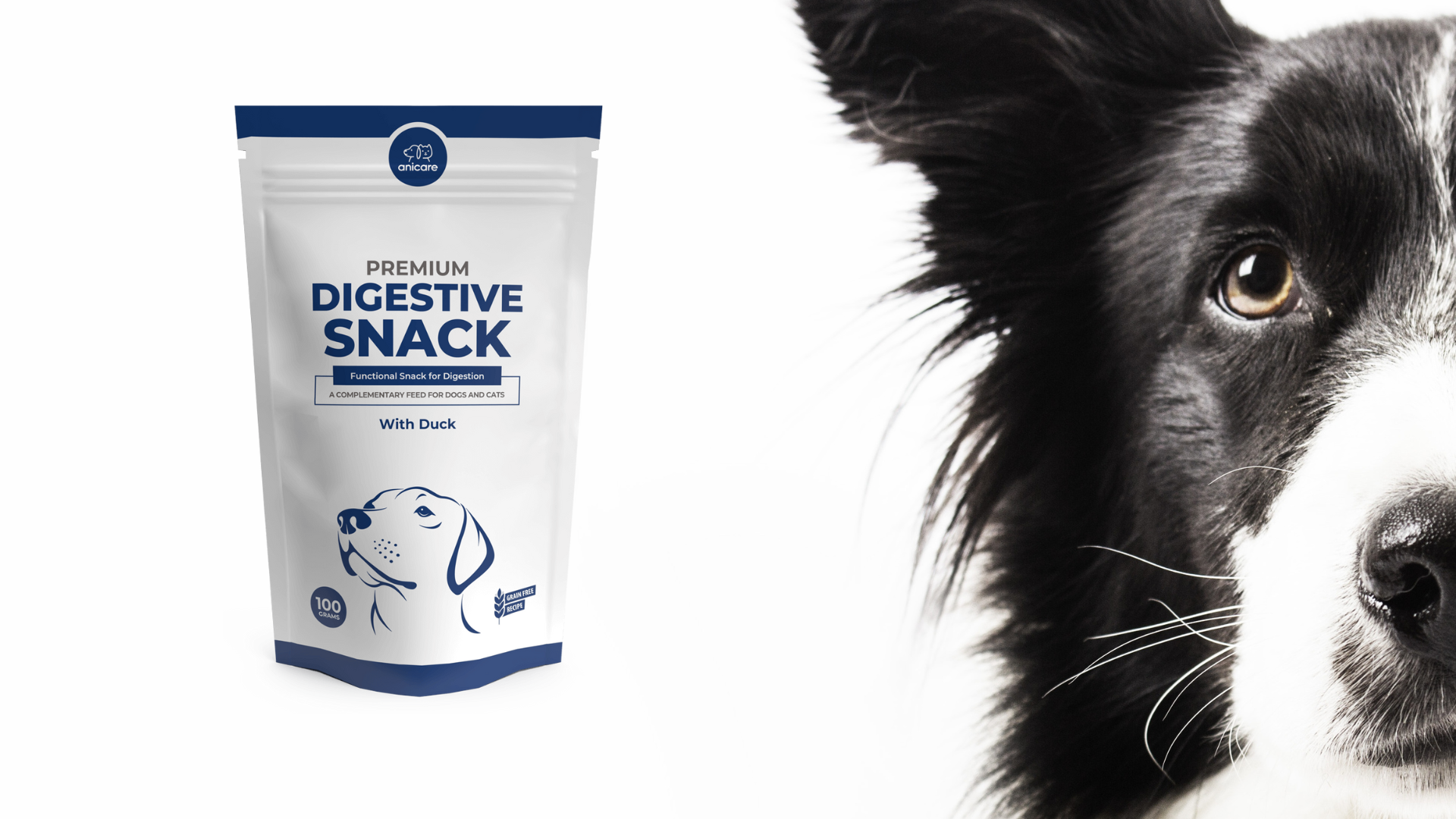 Premium Digestive Snack pour une meilleure digestion
